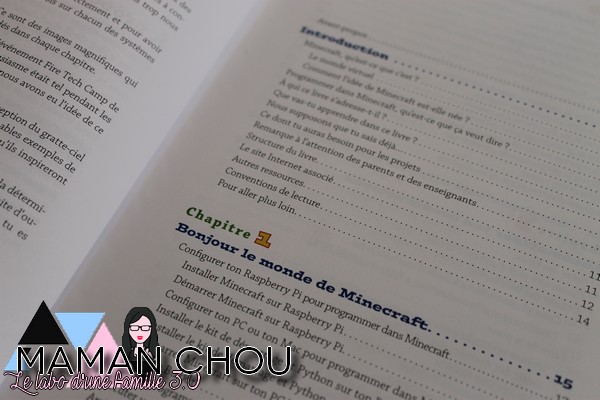 Apprendre à coder en python avec minecraft